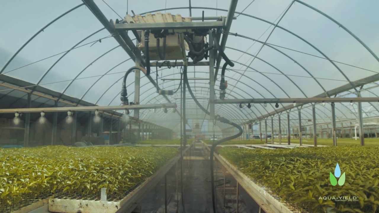 The Aqua-Yield™ Effect - Tropical Star - Rio Grande, TX - YouTube