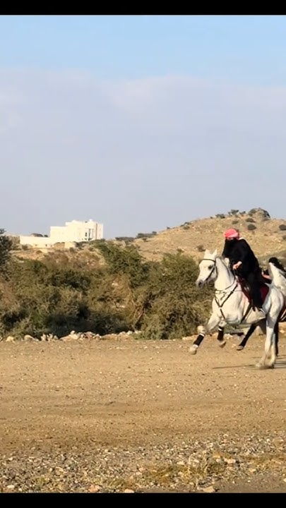 محد يجاريها مثل البرق💪😎#السعودية #اكسبلور #كلمه #خيل #خيالة #خيال # ...