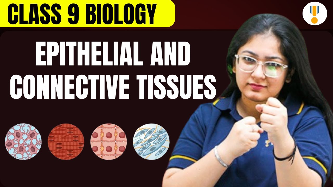 Epithelial and Connective Tissues | Class 9th Biology | Complete NCERT ...