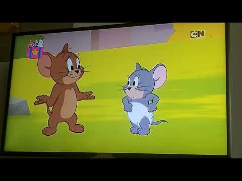 Tom in Jerry v New Yorku Trio Flamingo