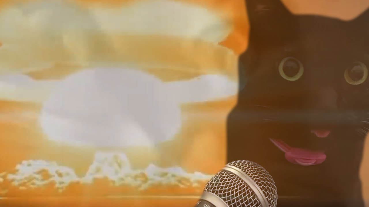 【NOUNAI1億再生動画】宇宙の全てを理解したエコー猫 Cat Transcendence - YouTube