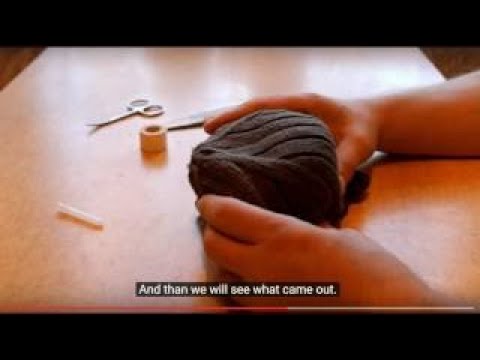 Homunculus? Youtuber injects human sperm in to a chicken egg something ...