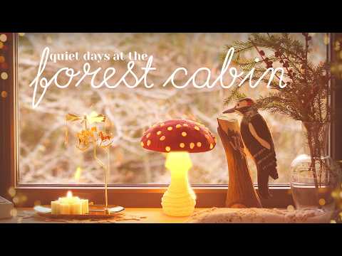 A Quiet Cabin Day with my Forest Friends 🐿 🦉