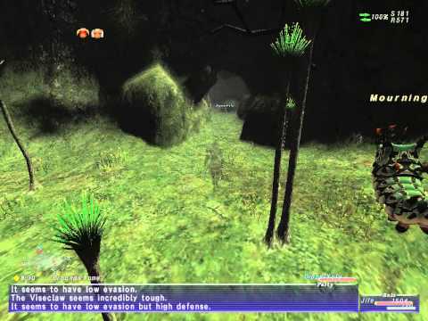 FFXI 8-31-2011 - LVL95 ~ New Grounds of Valor in The Boyahda Tree - YouTube