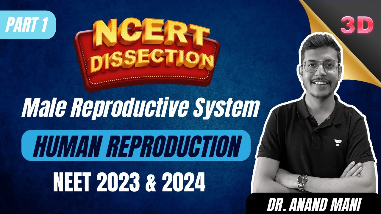 Human Reproduction - Part 1 | Class 12 | NEET 2023 & 2024 | Dr. Anand ...