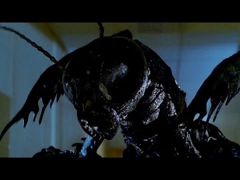 Insecto (1987) Pelicula completa en español - YouTube