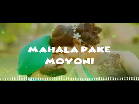 Arafa hussein X kaynaksh _song: moyoni