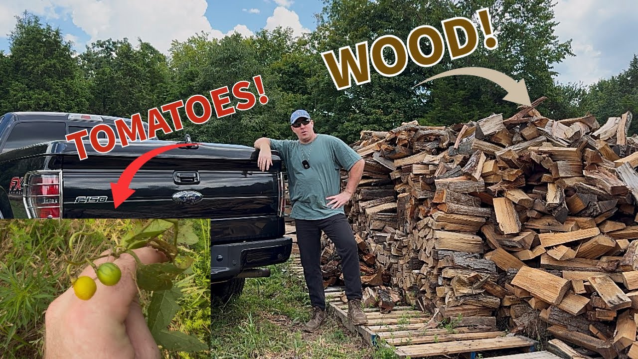 Pecan Firewood and I Found a Mutant Tomato - YouTube