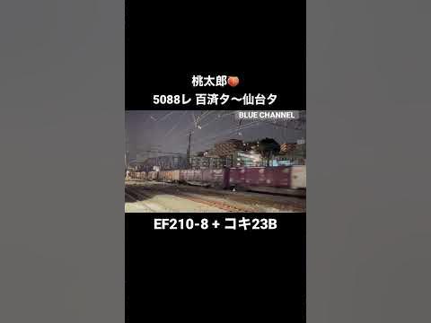 (貨物列車) 2023/02/01 5088レ EF210-8 + コキ23B #Shorts - YouTube