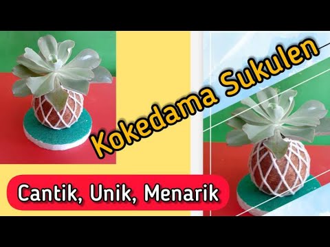 Kokedama Sukulen || Cara Mudah Melilit Tali Kokedama