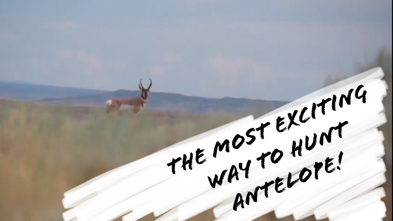 Spot and Stalk ARCHERY Pronghorn Antelope Hunting - YouTube