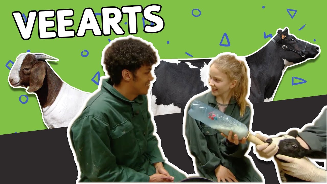 WAT DOET EEN VEEARTS ALLEMAAL? // Willem Wever // #87 - YouTube