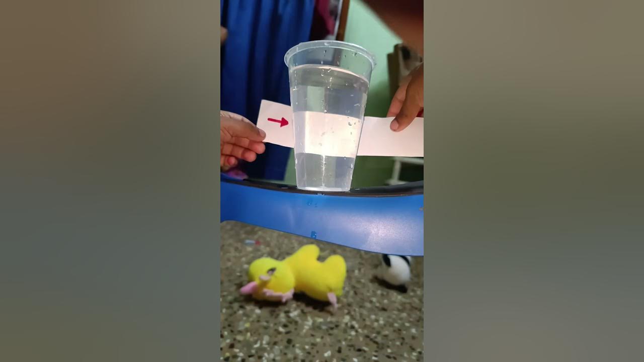 Amazing Refraction Experiment! Watch the Arrow Flip Direction in Water | Fun Science for Kids ...