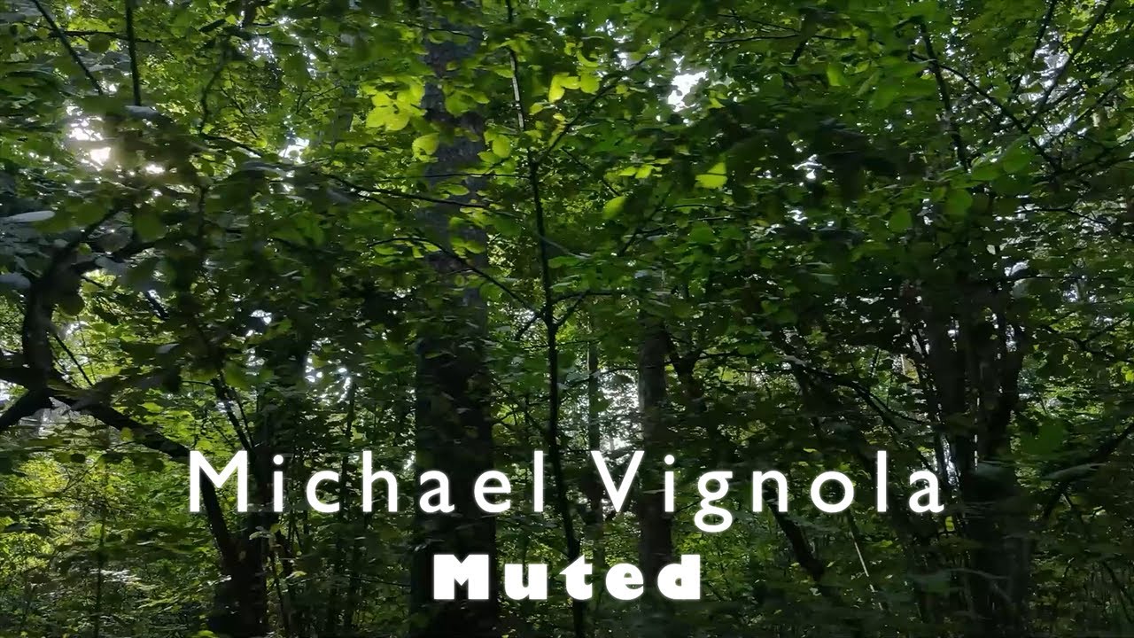 Michael Vignola - Muted - epic relaxation music - Mind Drifter - YouTube