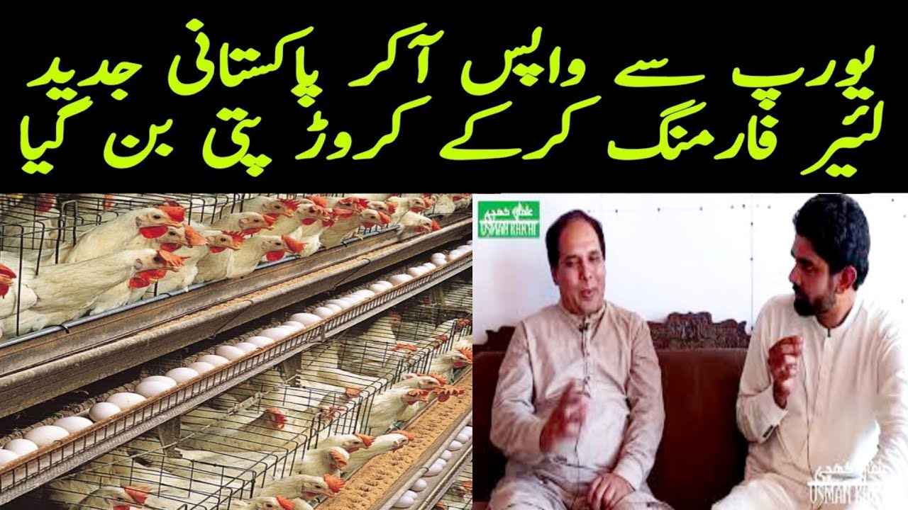 Layer Hen Farming in Pakistan | How to become Millionaire| Biggest and ...