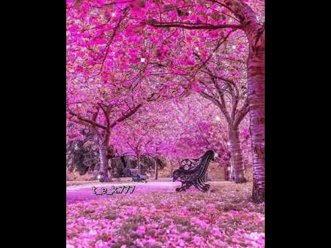 Maraqlı  vidyo🙏👍