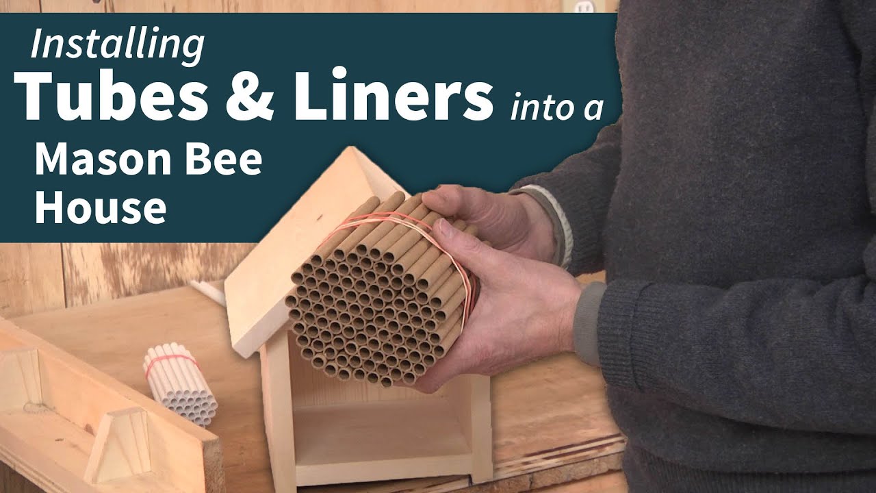 Using Tubes & Liners in your Mason Bee Housing - YouTube