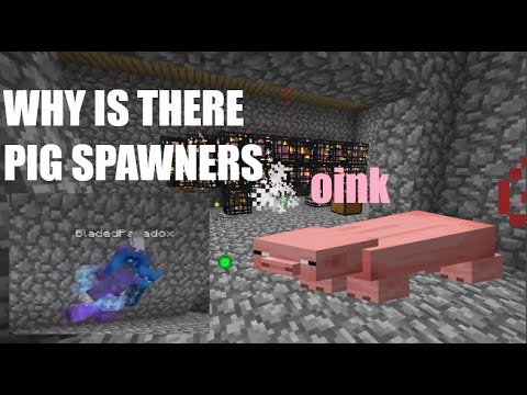 Rlcraft Pig Spawner Bug? - YouTube