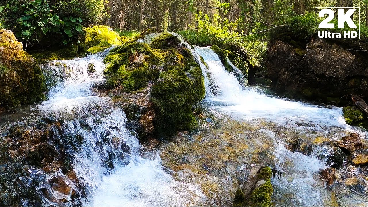 Close up Shot of River in the Forest | Stock Footage | - YouTube