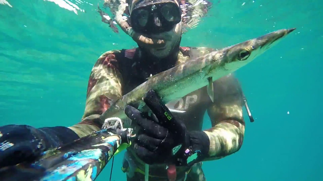 🔱Ψαροντούφεκο στα ρηχά🔱 - shallow water spearfishing by thomas 2017 ...
