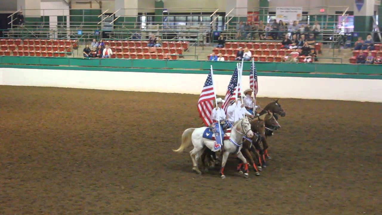 Blue Ribbon Riders Equestrian Drill Team 2015 - YouTube