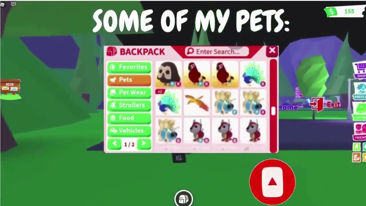 Im quitting adopt me (Free Pet Giveaway) - YouTube