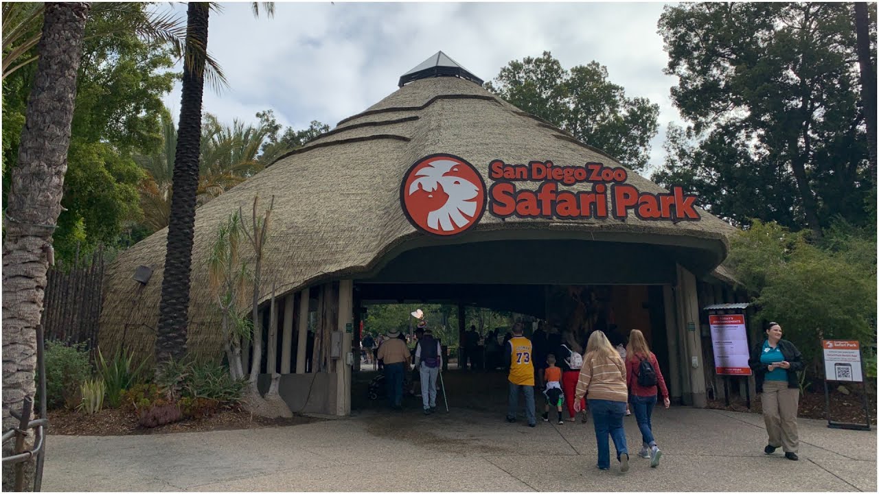 San Diego Zoo Safari Park Africa Tram | Tour and Overview | 4K - YouTube
