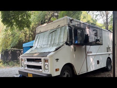 Step Van Life/July 26, 2024 It’s Mellowing Out - YouTube