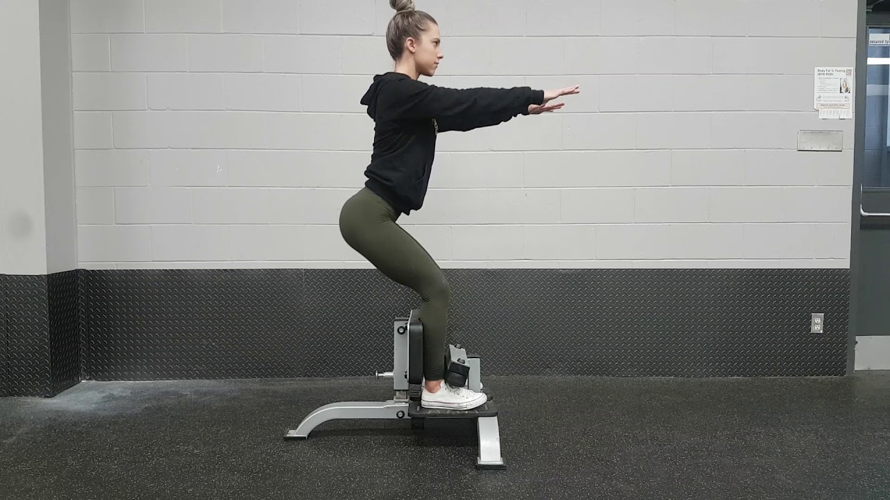 Sissy Squat - Exercise Library - YouTube