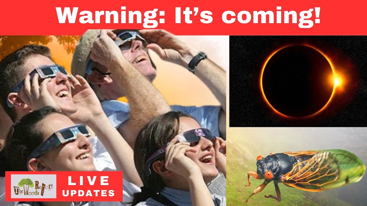 Cicadas Swarming, Solar Eclipse 2024, and wrath of Tiffany Heynard ...
