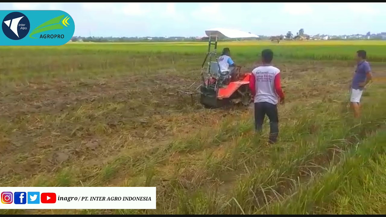 BOAT TRAKTOR - DI SAWAH MENGGUNAKAN BAJAK PARABOLA/PIRING/DISCPLOW ...