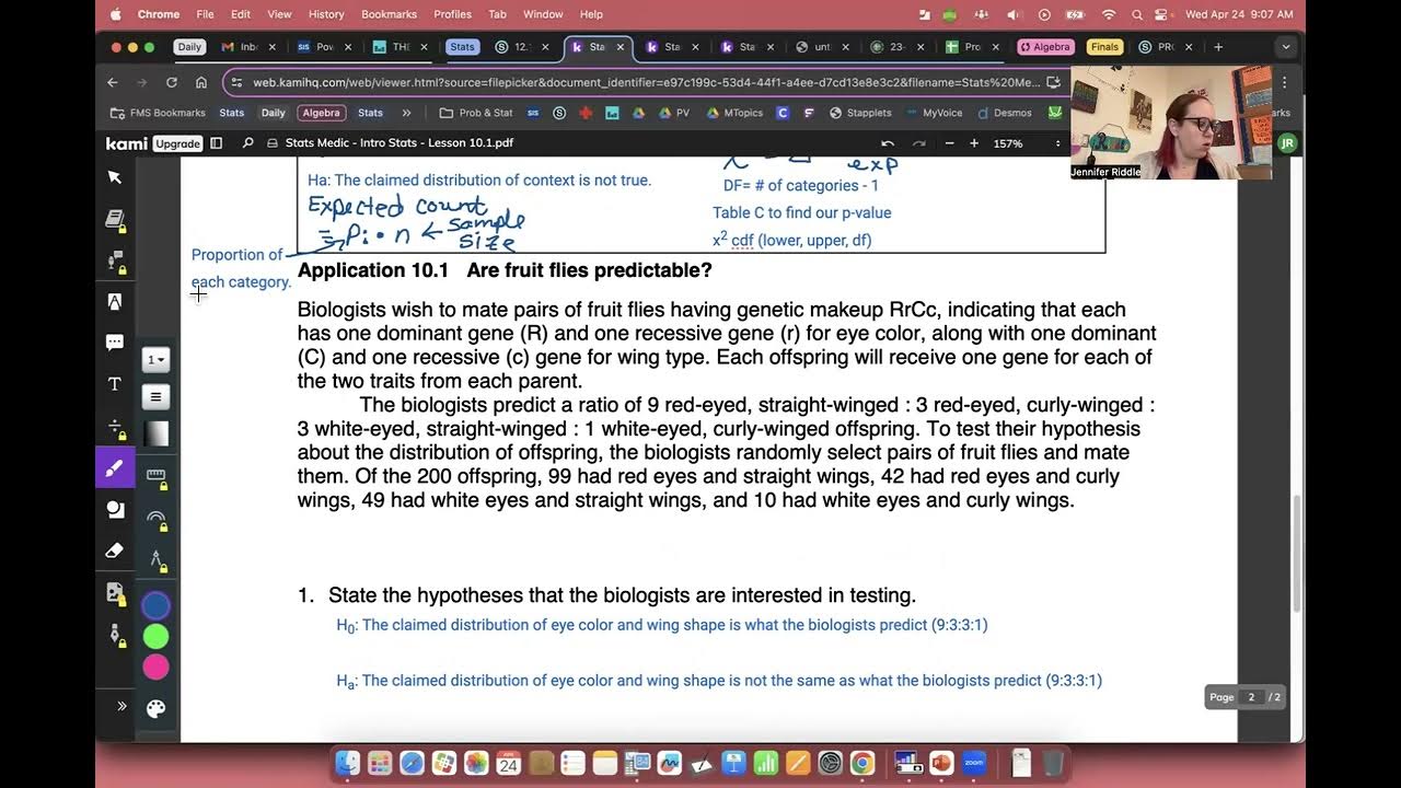 Prob & Stat Chi Squared Notes - YouTube