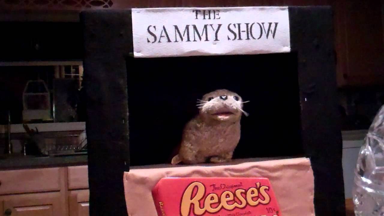 The Sammy Show (S2E18): Behind the Scenes - YouTube