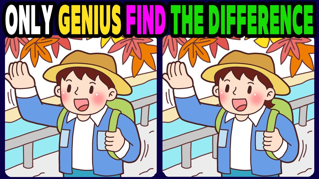 【Spot & Find The Differences】Can You Spot The 3 Differences? Challenge ...