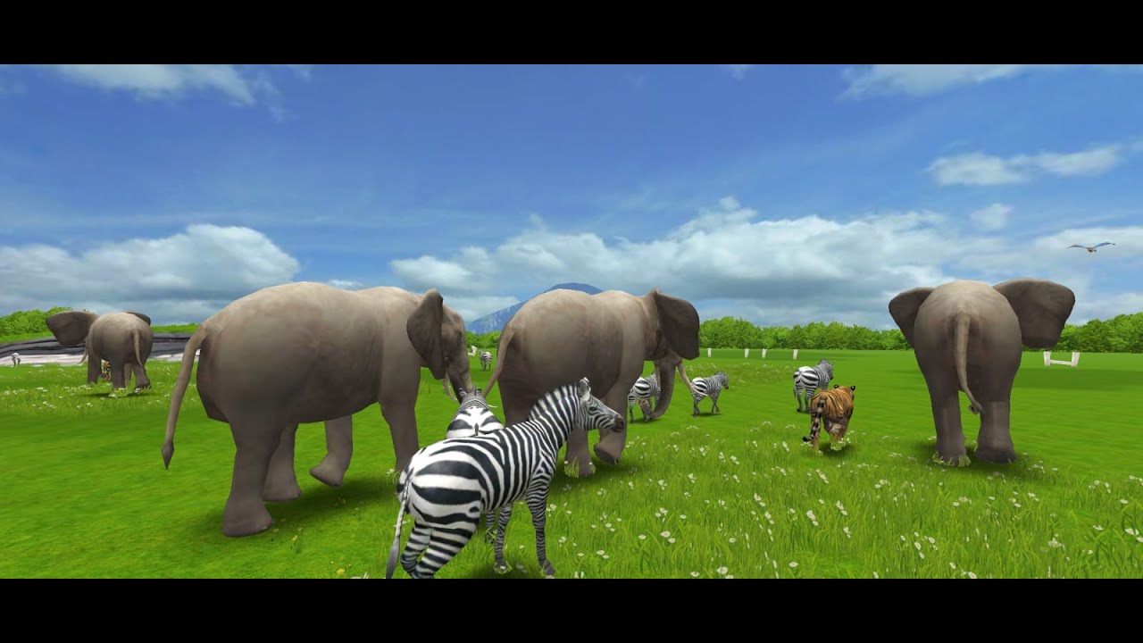 Wildcraft 3D ANIMALS ANIMATION VIDEO LION ELAPHANT ZEBRA - YouTube