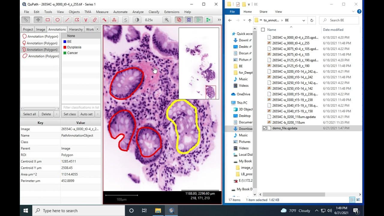 Making and saving multiple annotations in QuPath - YouTube