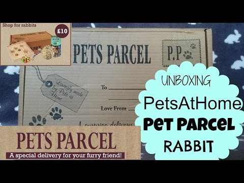 Petsathome Pet Parcels REVIEW | RABBIT - YouTube