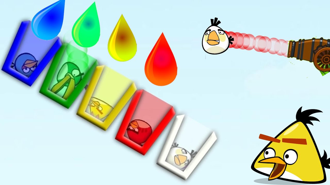 Angry Birds Drink Water 2 - SHOOT THE COLOR WATER TO COLOR ANGRY BIRDS IN WATER CUP SKILL! - YouTube
