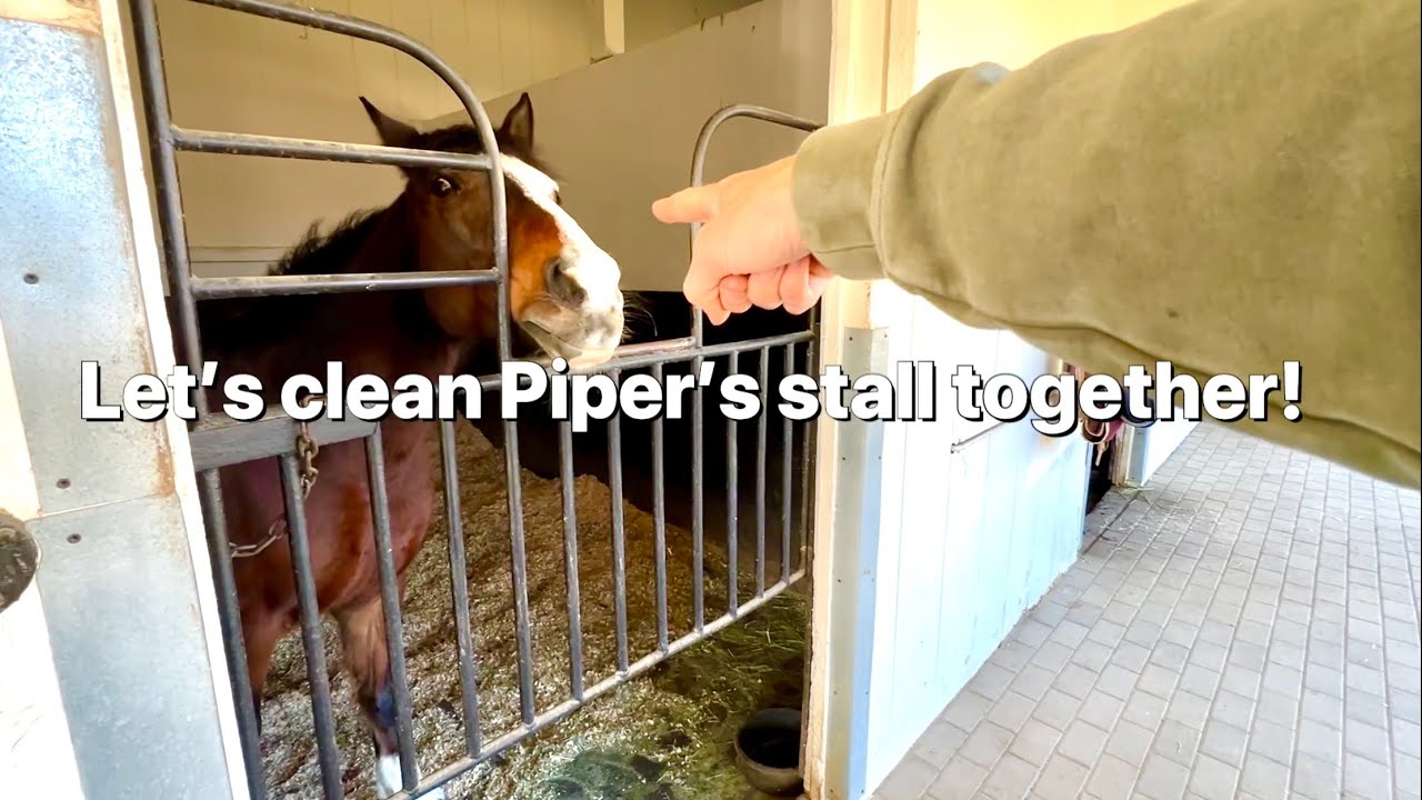 Play irl pony stall cleaning with me! POV stall cleaning with chest ...