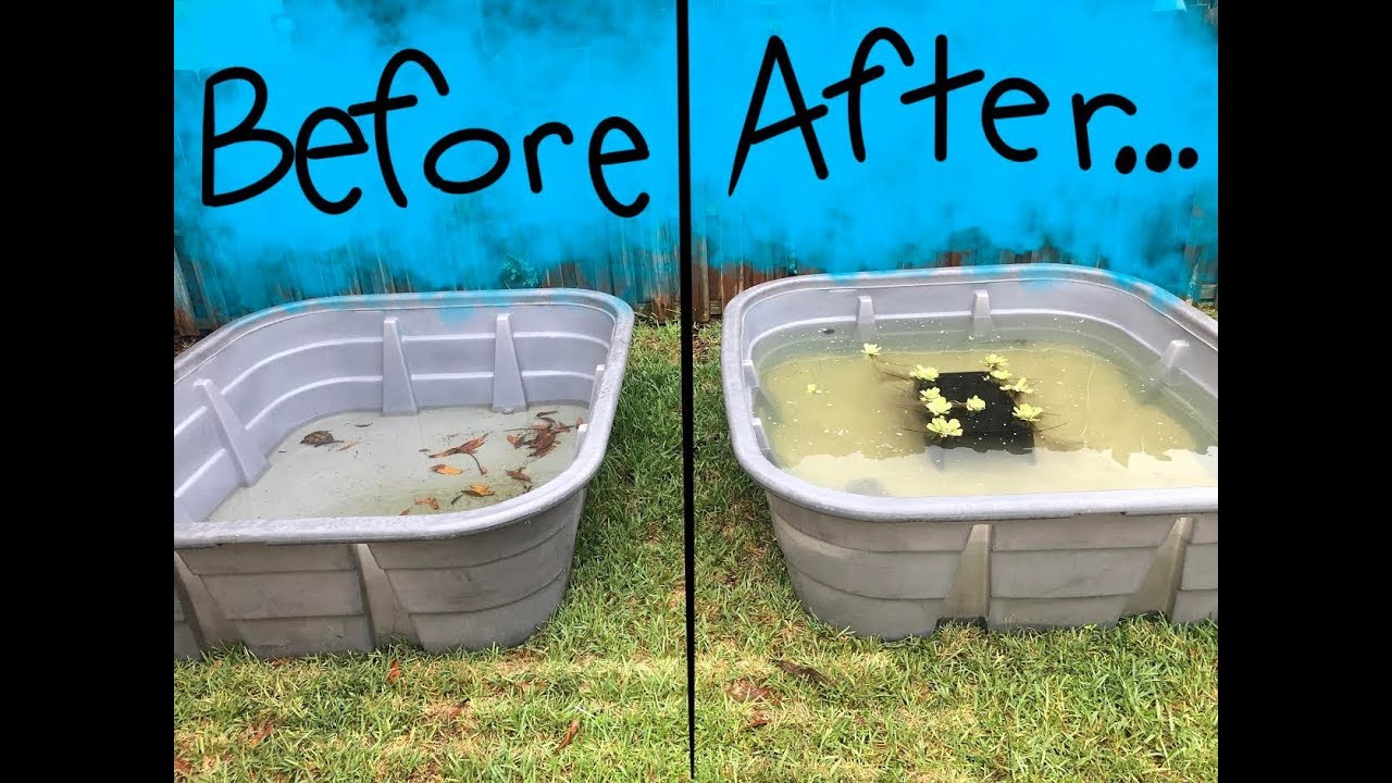 ALLIGATOR SNAPPING TURTLE ENCLOSURE!!! - YouTube