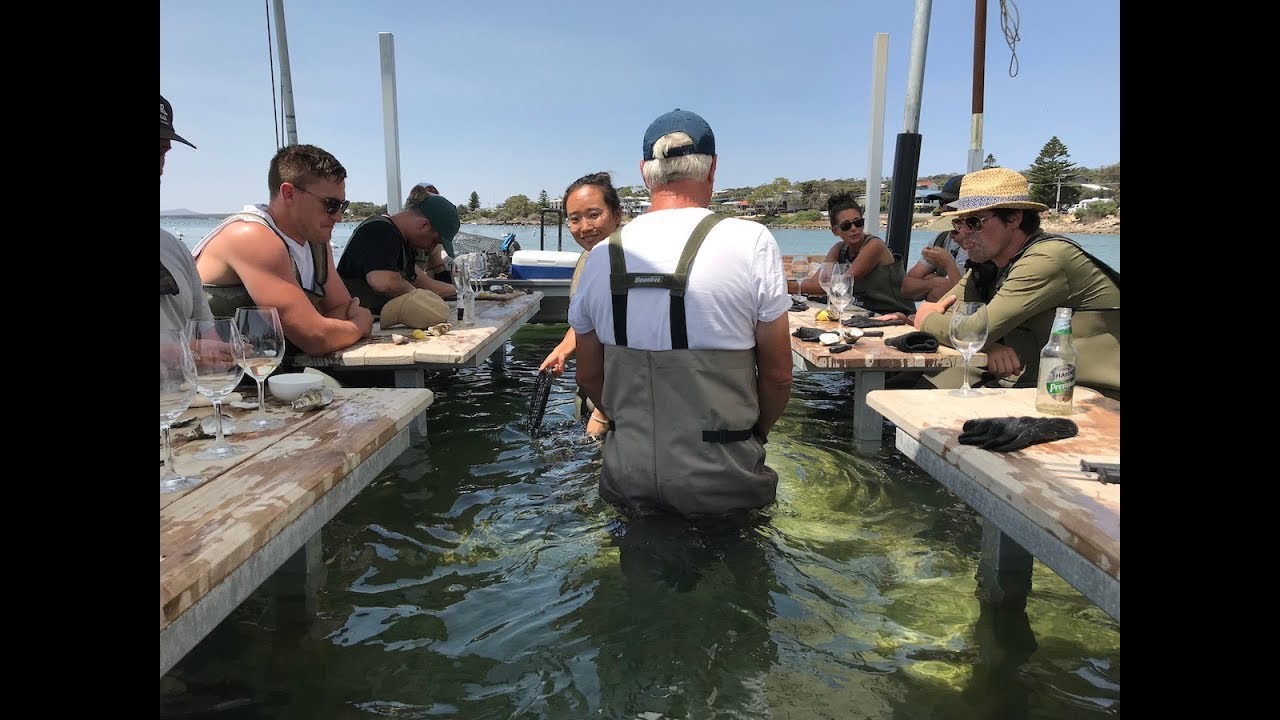 This Coffin Bay Oyster Experience Is Bucket List Material - YouTube