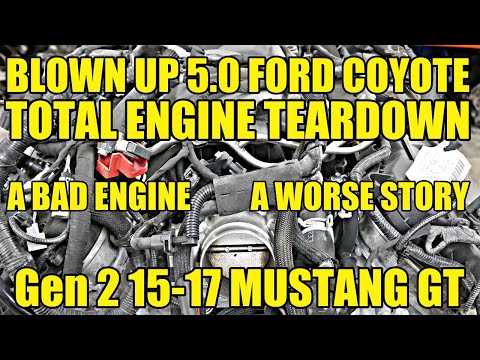 15-17 Ford Mustang 5.0 Coyote BLOWN ENGINE Teardown. A Core With a Story You'll Want To Hear!