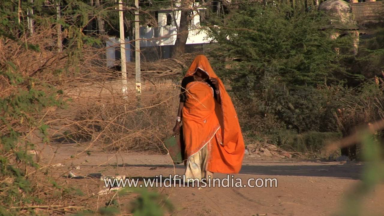Rajasthani woman veiled with her saree walks down deserted village near ...