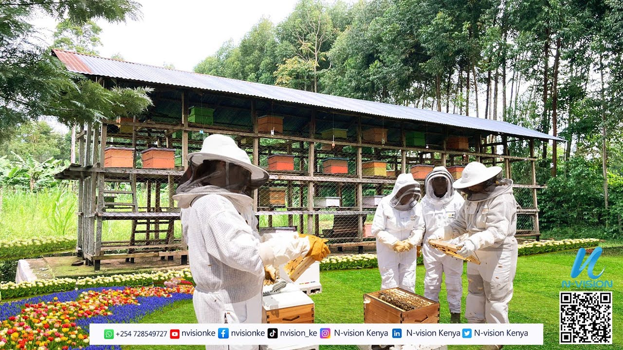 Transform Your Life: Dive into Beekeeping Basics - YouTube