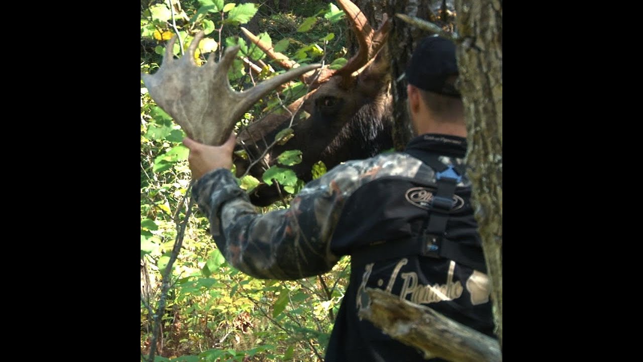 Trailer Kid Panache 3 (Attack Moose, chasse orignal 2011) - YouTube