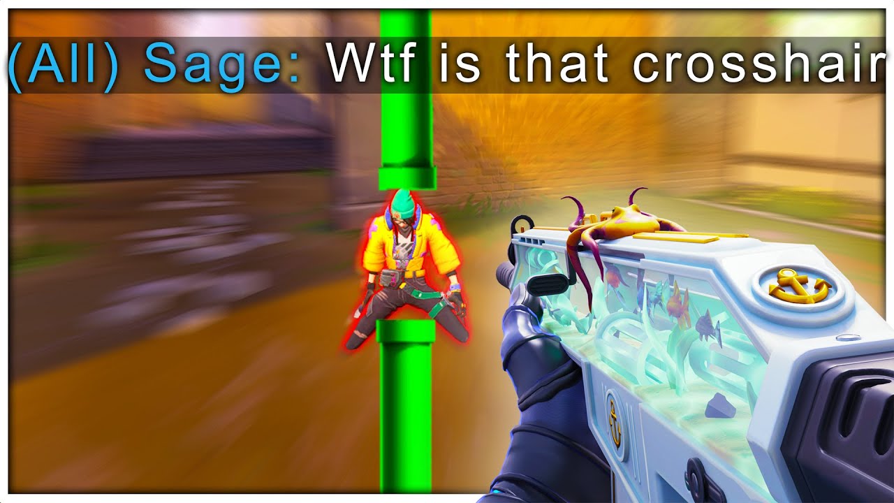 When You Use A Flappy Bird Crosshair In Valorant Youtube