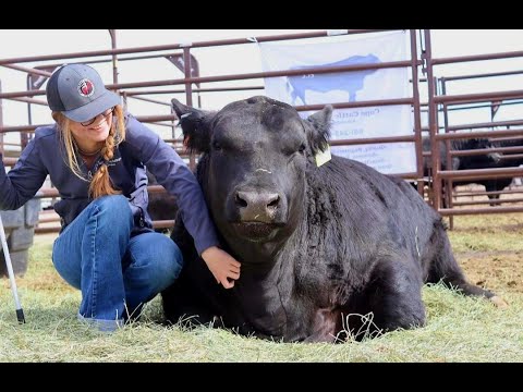 Beef Science Program at FRC - YouTube