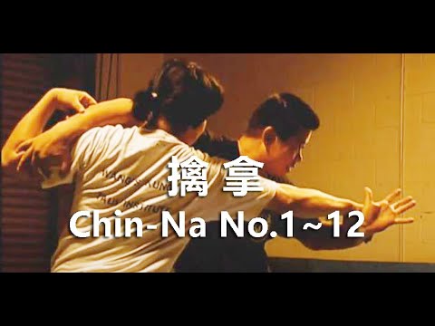 Chin-Na No.1~12 #foryou#SelfDefense#Gongfu#Qinna