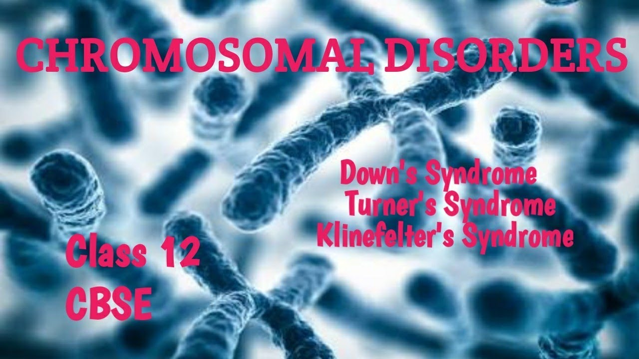Chromosomal Disorders Class 12 Cbse Principles Of Inheritance And