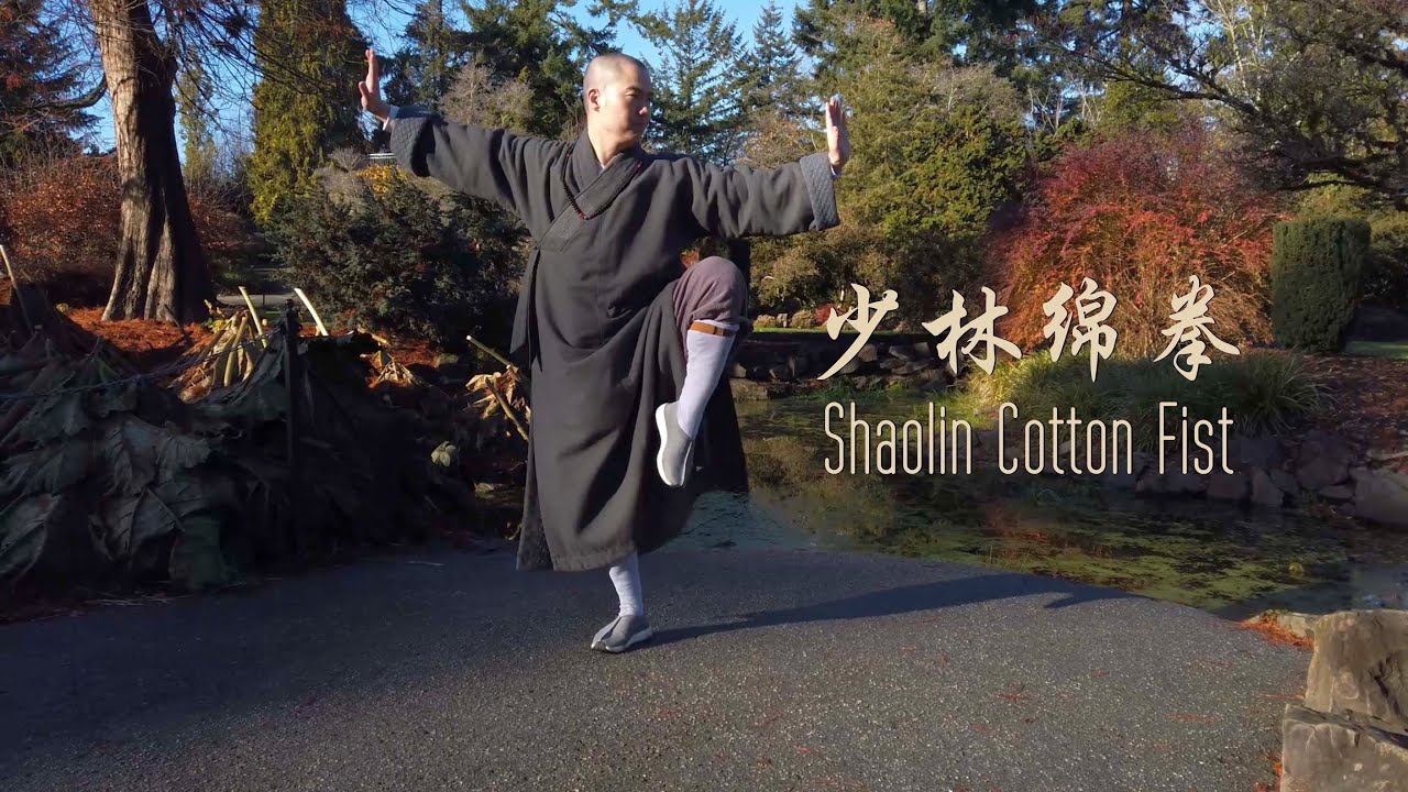 Shaolin Cotton Fist (少林绵拳) by Master Shi Yandi (释延荻) at Queen Elizabeth ...